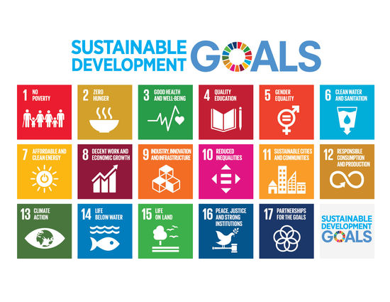 SDG Accord Report 2024 - Case Studies | Sustainability Exchange